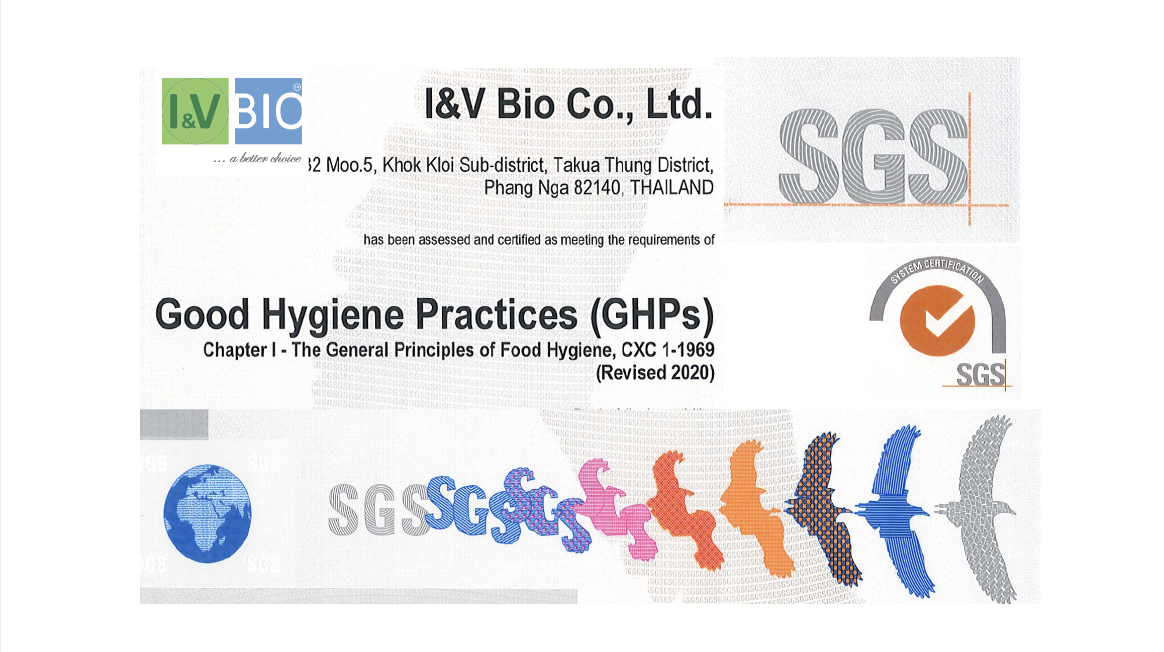 GHP (Good Hygiene Practices) Certification – I&V-BIO